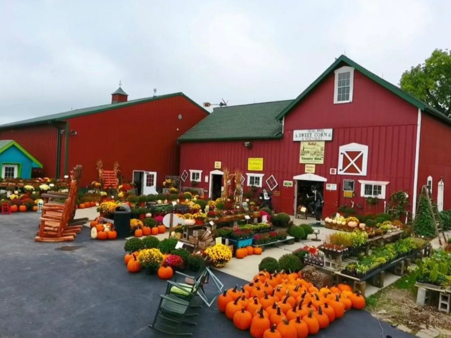 Siegel’s Cottonwood Farm | Lockport, IL – Illinois Foodies