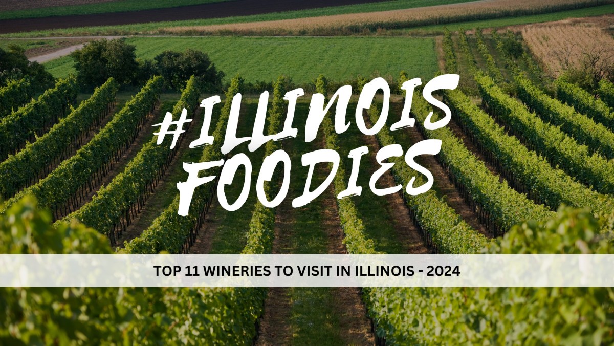 Top 11 Wineries to Visit in Illinois 2024 – Illinois Foodies